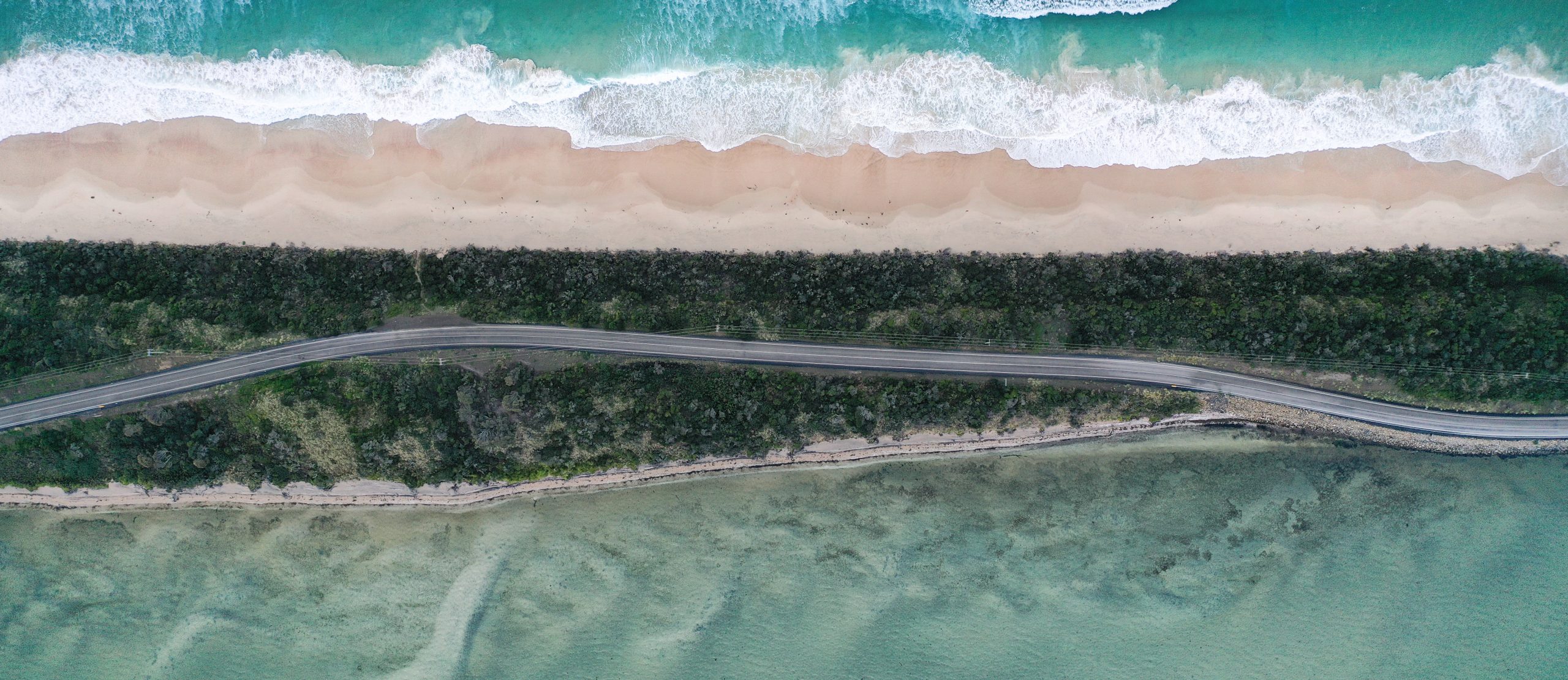 Roads and Wildlife - Bruny Island