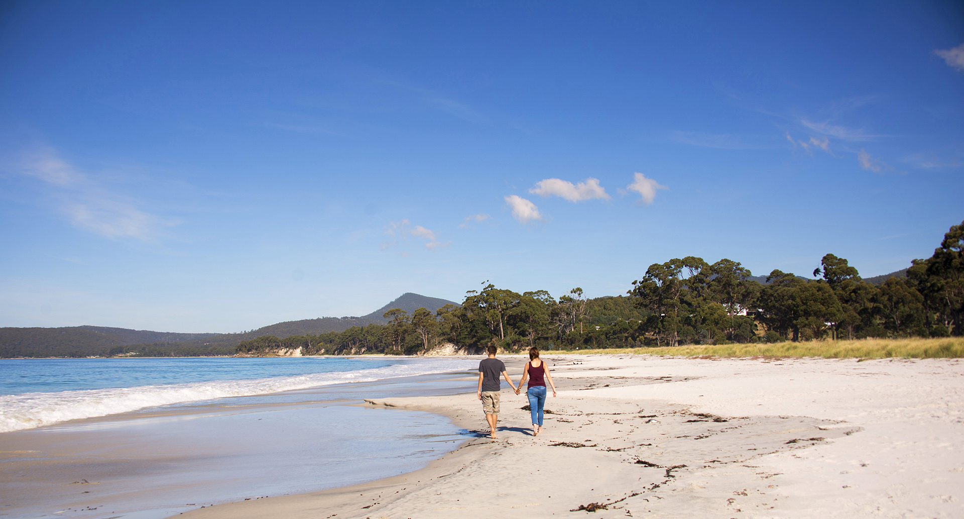 Explore Bruny Island - Bruny Island