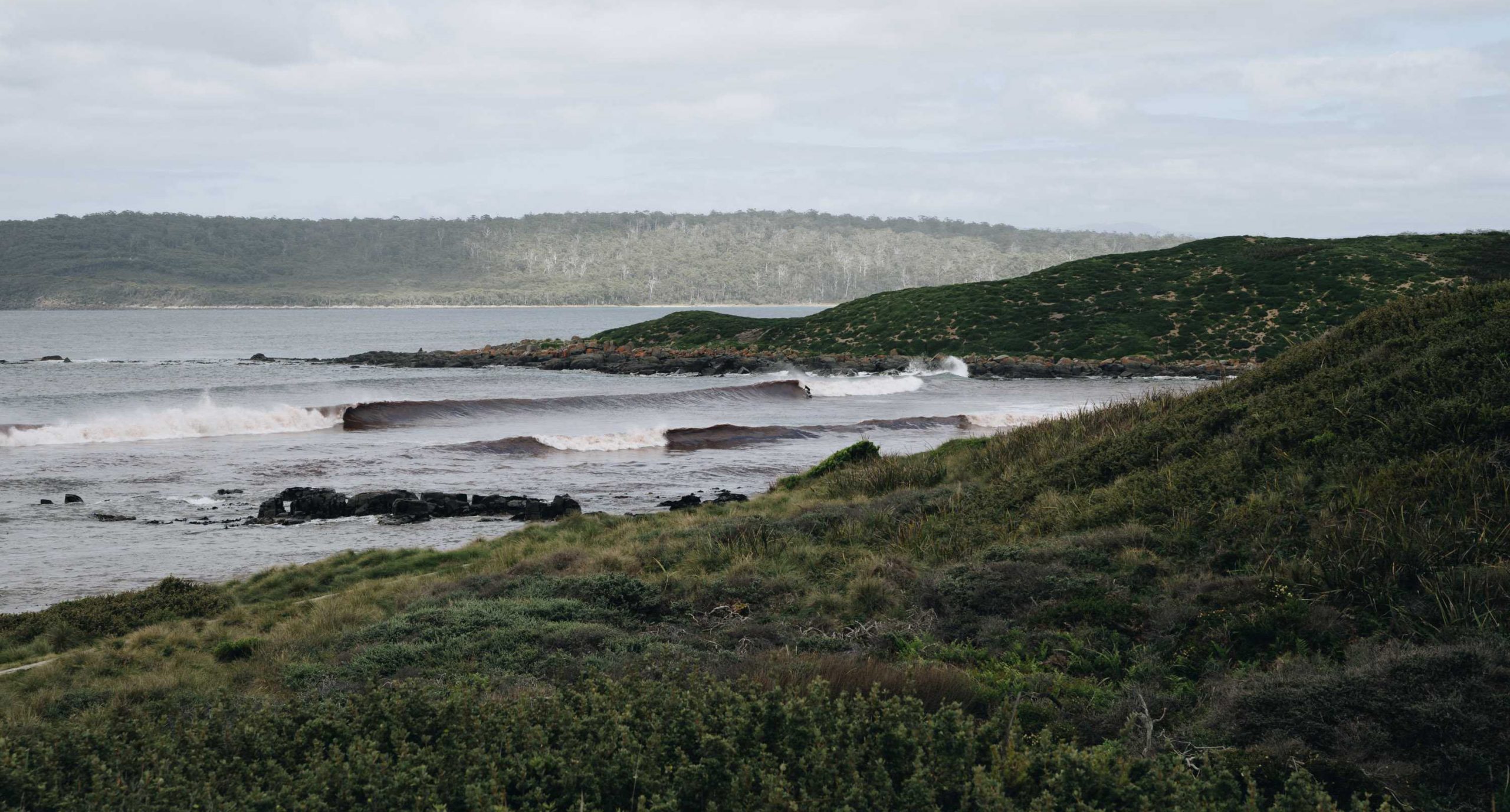 Middle Bay Walk - Bruny Island